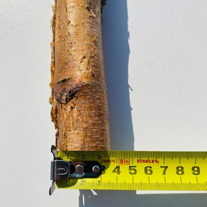 DIY Birch Walking Stick Birch Sticks Rowan Branches Birch Sticks Birch ...