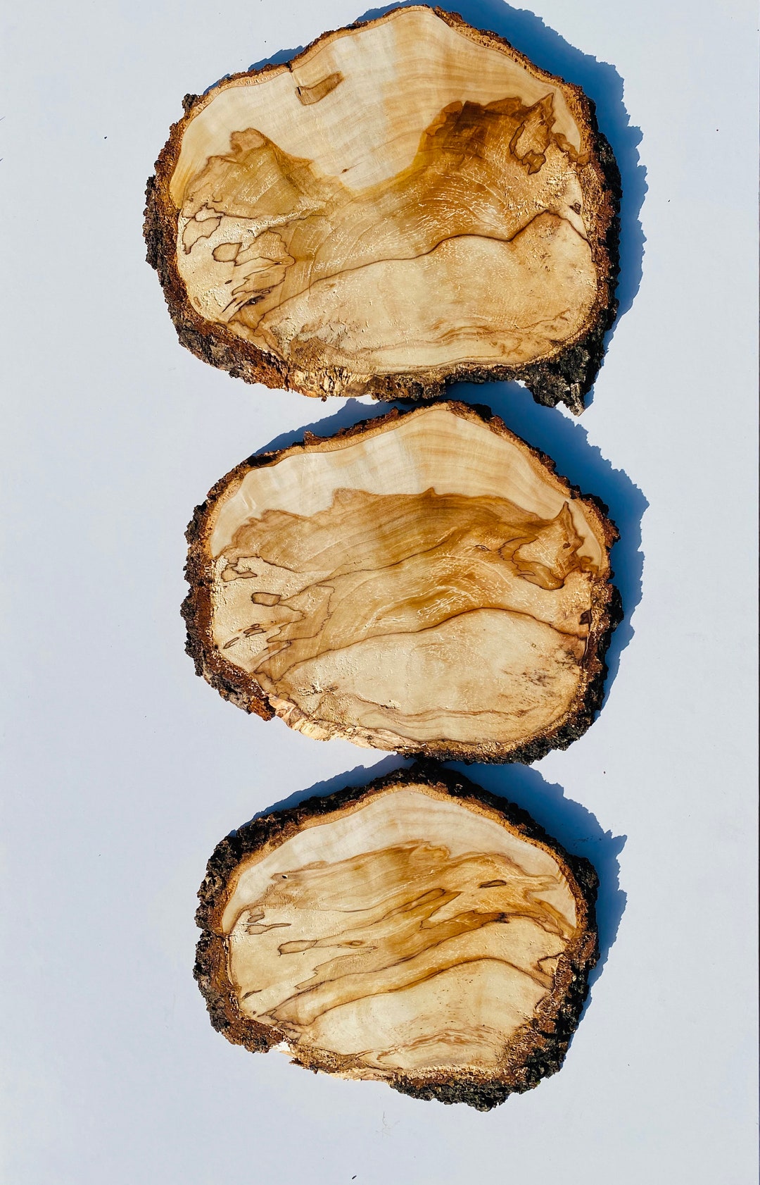 UNIQUE 3 PCS 12'' Large BIRCH Slices | Wooden Slices | Birch Slices ...