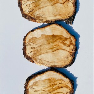 UNIQUE 3 PCS 12'' Large BIRCH Slices | Wooden Slices | Birch Slices ...