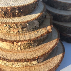 10pcs 2''-3'' Oak Slices | Oak Discs | Oak Circles | Crafts | Wooden ...