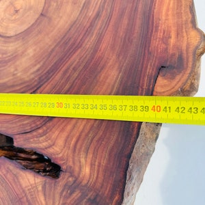 Extra Large Solid Elm Wood Slice 22 Inch Elm Slices Elm Elm Circles ...