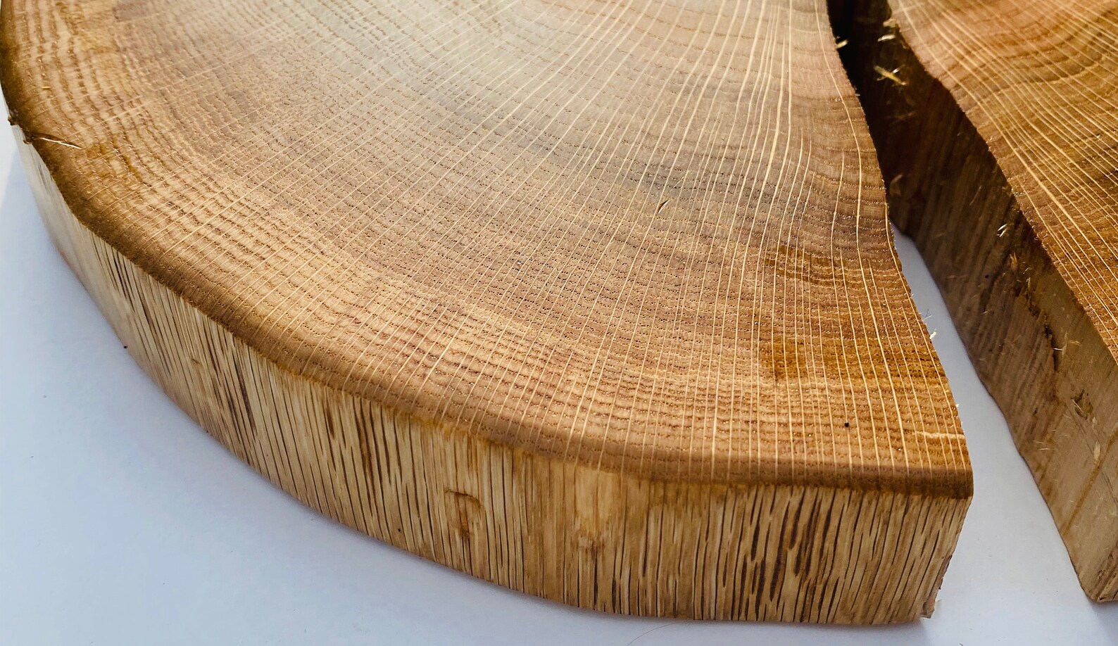 1 Large Solid Oak Wood Slice 13 Inch Oak Slices Oak Oak - Etsy