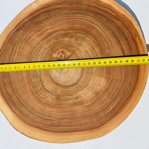 1 Large Solid Elm Wood Slice 13 Inch Elm Slices Elm Elm Circles Wooden ...