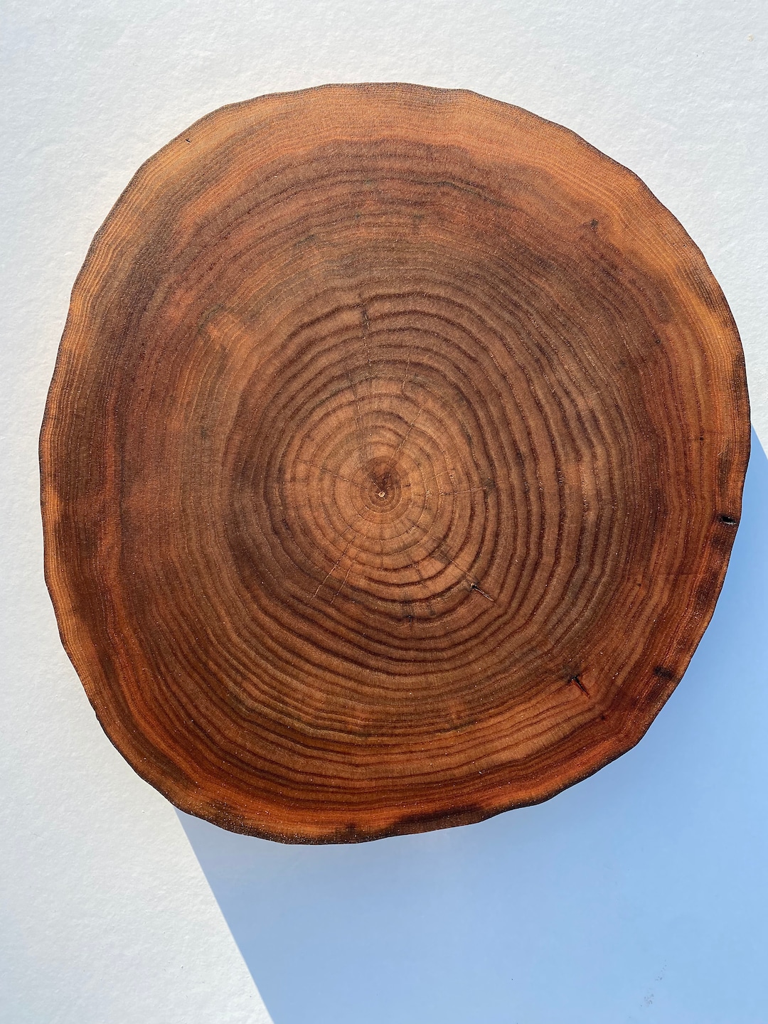 1 Solid Elm Wood Slice 10 Inch in Diameter Elm Slices Elm Elm Circles ...