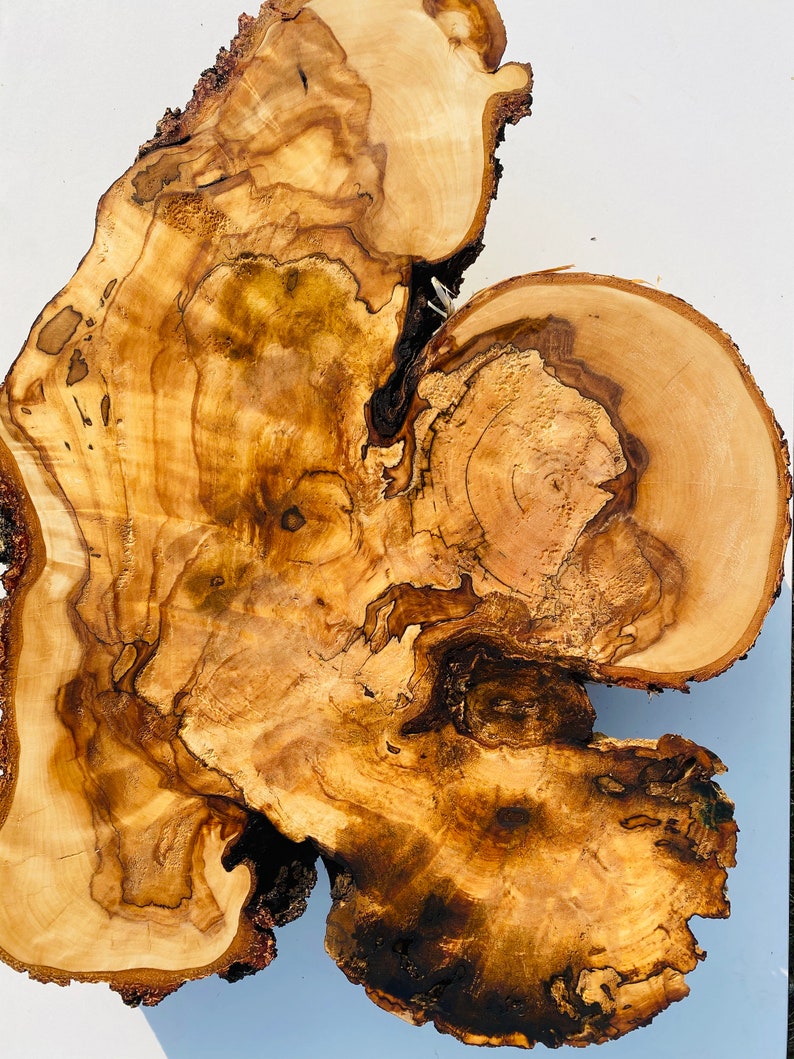 Unique 21 Large BIRCH Slice Cake Stand Large Slices - Etsy