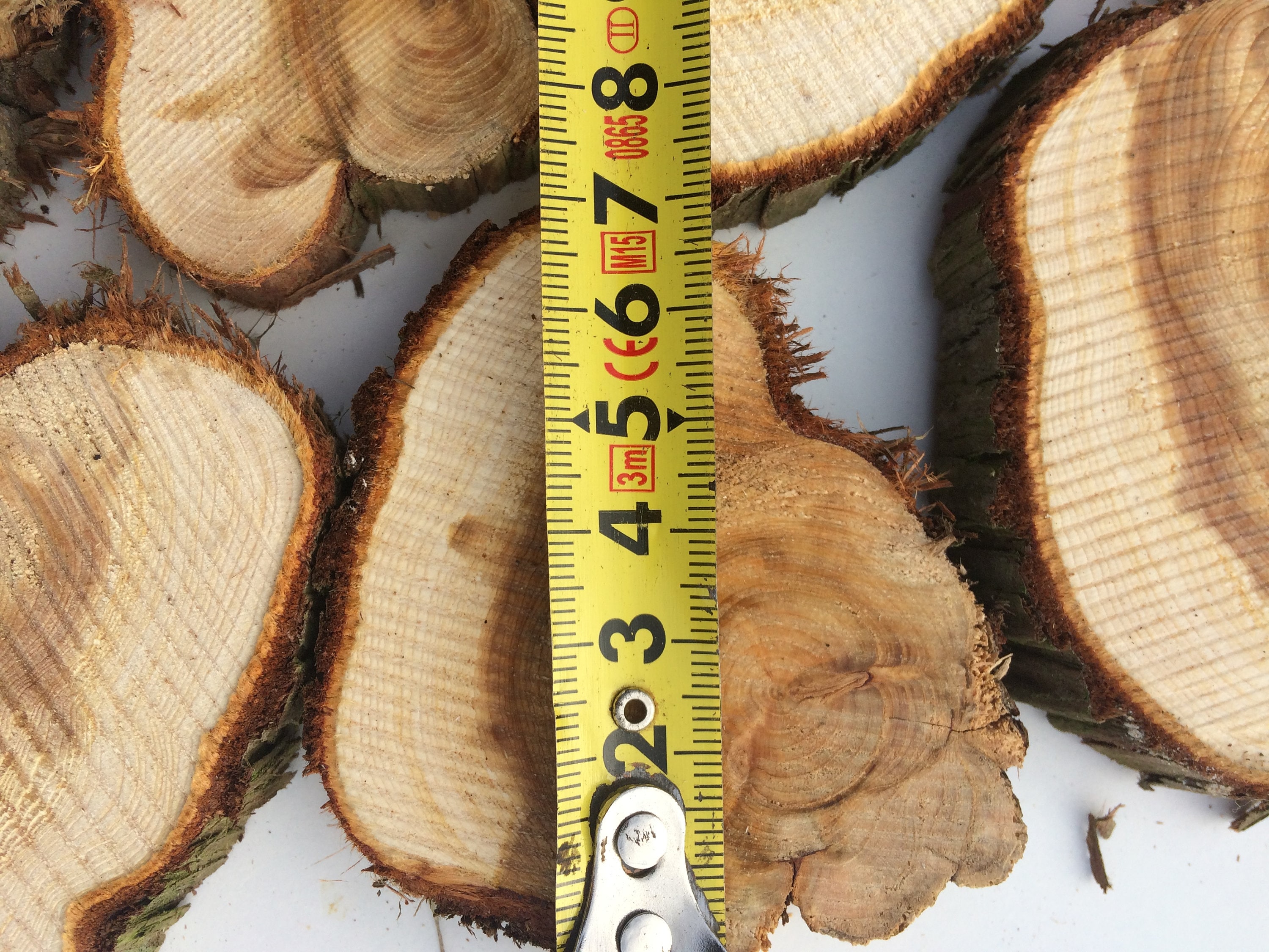 20 Small Juniper Tree Slices Small Wooden Slices Rustic - Etsy Canada