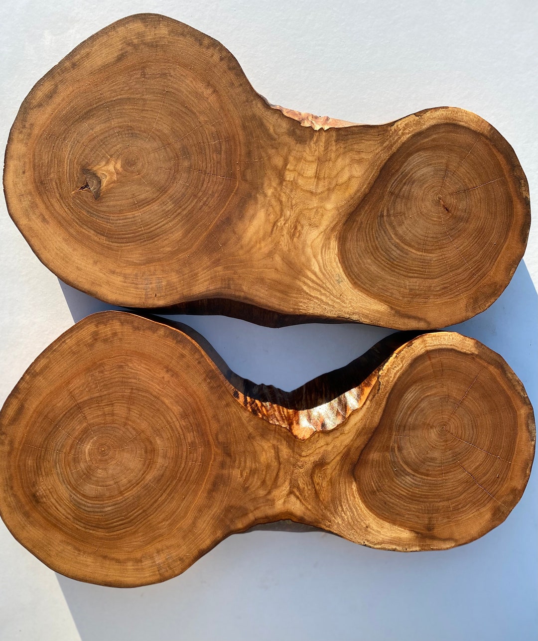 2 Large Solid Elm Wood Slice 18 Inch Elm Slices Elm Elm Circles Wooden ...