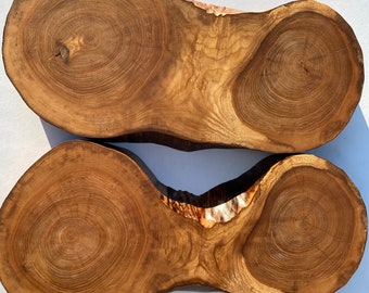 1 Extra Large Solid Elm Wood Slice 21 Inch Elm Slices Elm Elm Circles ...