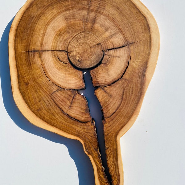 Oak Wood Slice - Etsy