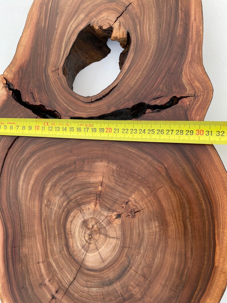 1 Extra Large Solid Elm Wood Slice 21 Inch Elm Slices Elm Elm - Etsy