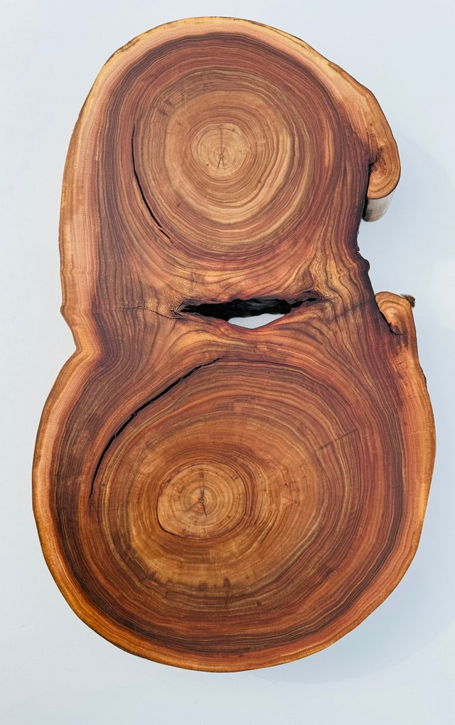 MagicTreeRR - Etsy