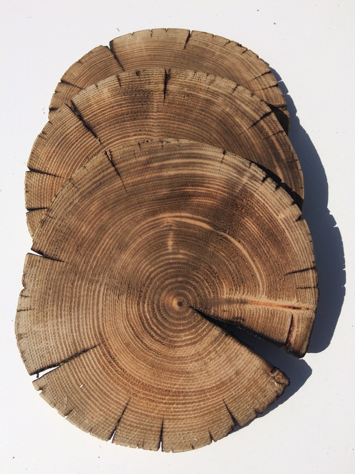 3 PCS Burnt Discs Burnt Wood Pine Discs Burnt Tree - Etsy
