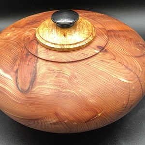 Large Varigated Juniper Hollow Form/ Urn - Etsy