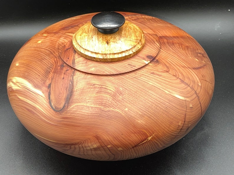 Large Varigated Juniper Hollow Form/ Urn - Etsy