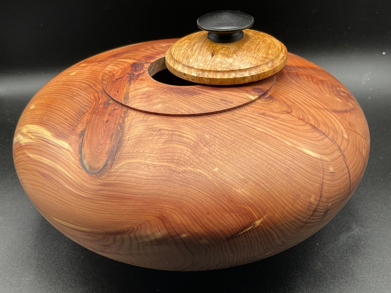 Large Varigated Juniper Hollow Form/ Urn - Etsy
