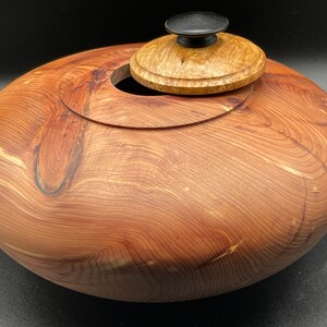 Large Varigated Juniper Hollow Form/ Urn - Etsy