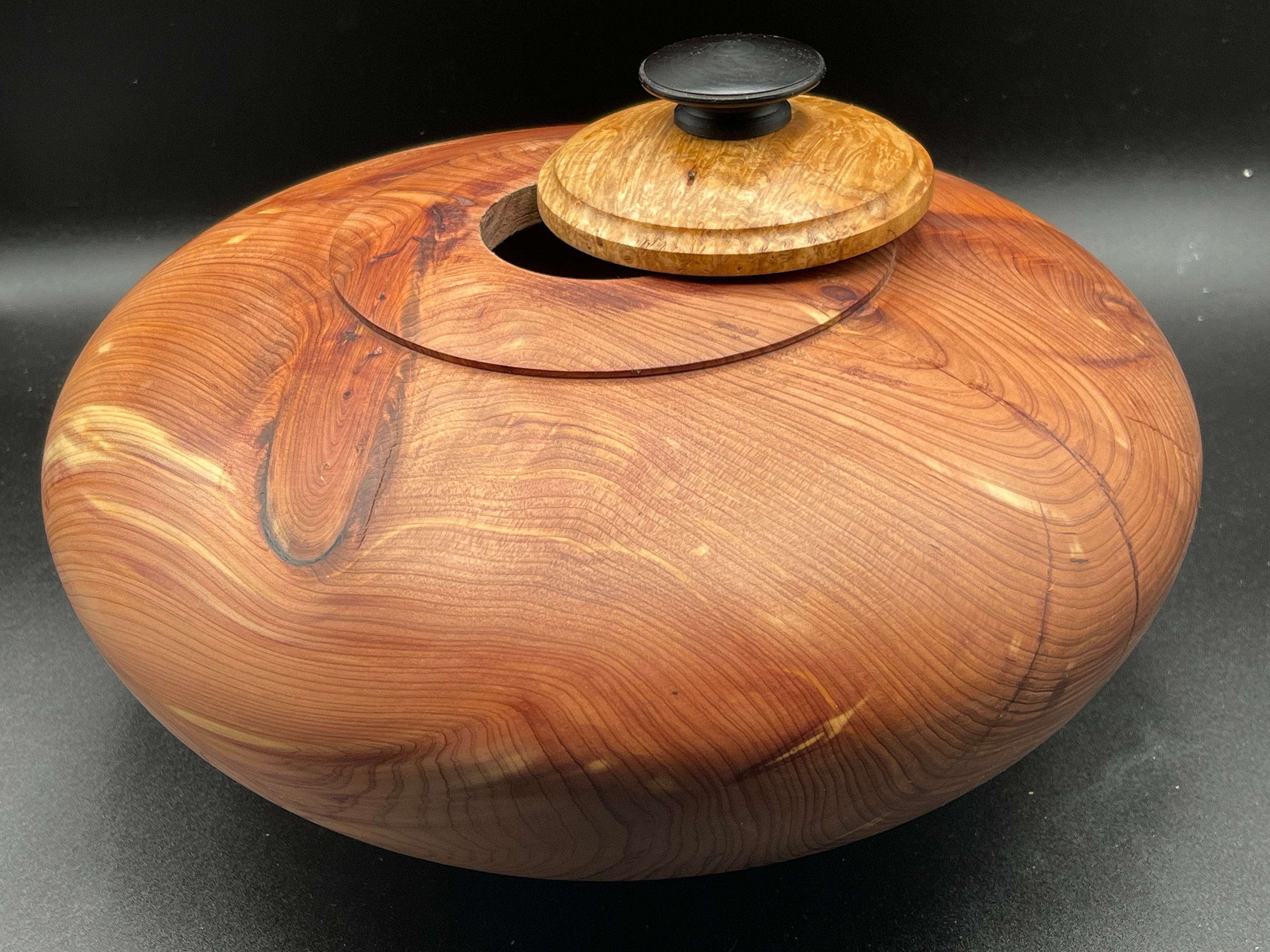 Large Varigated Juniper Hollow Form/ Urn - Etsy