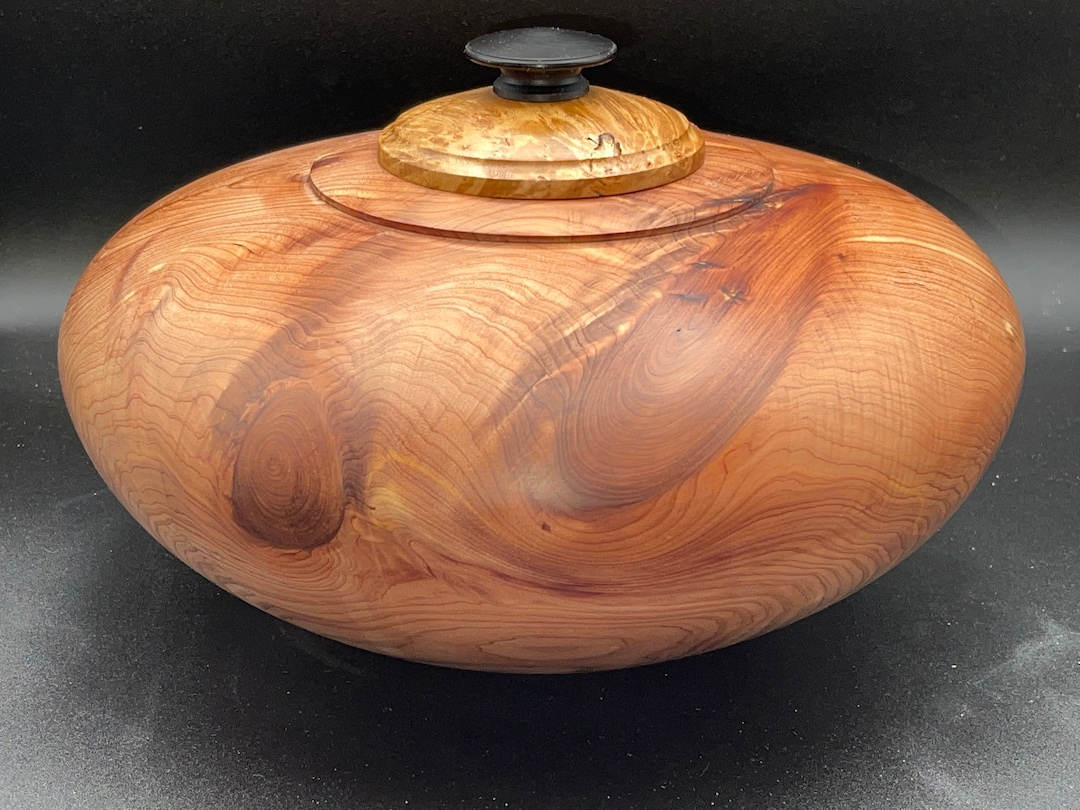 Large Varigated Juniper Hollow Form/ Urn - Etsy