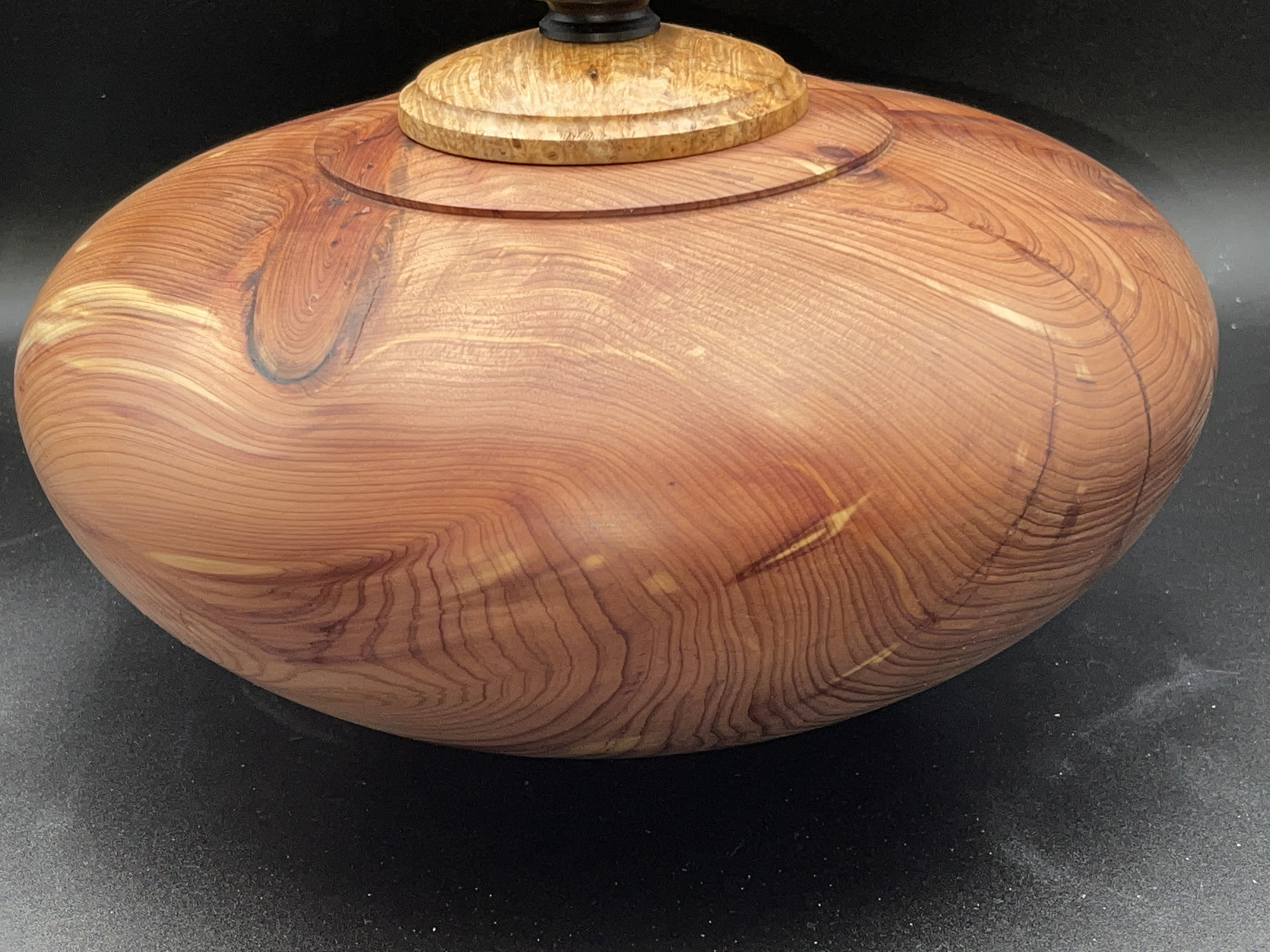 Large Varigated Juniper Hollow Form/ Urn - Etsy