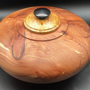 Large Varigated Juniper Hollow Form/ Urn - Etsy