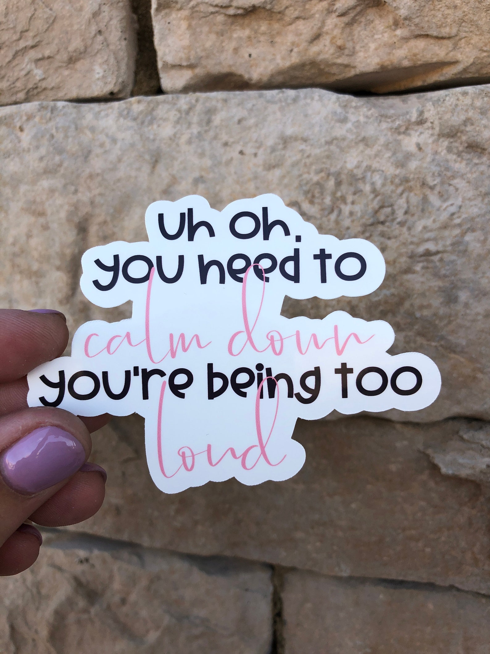 You Need to Calm Down, You're Being Too Loud Teacher Sticker * Matte ...