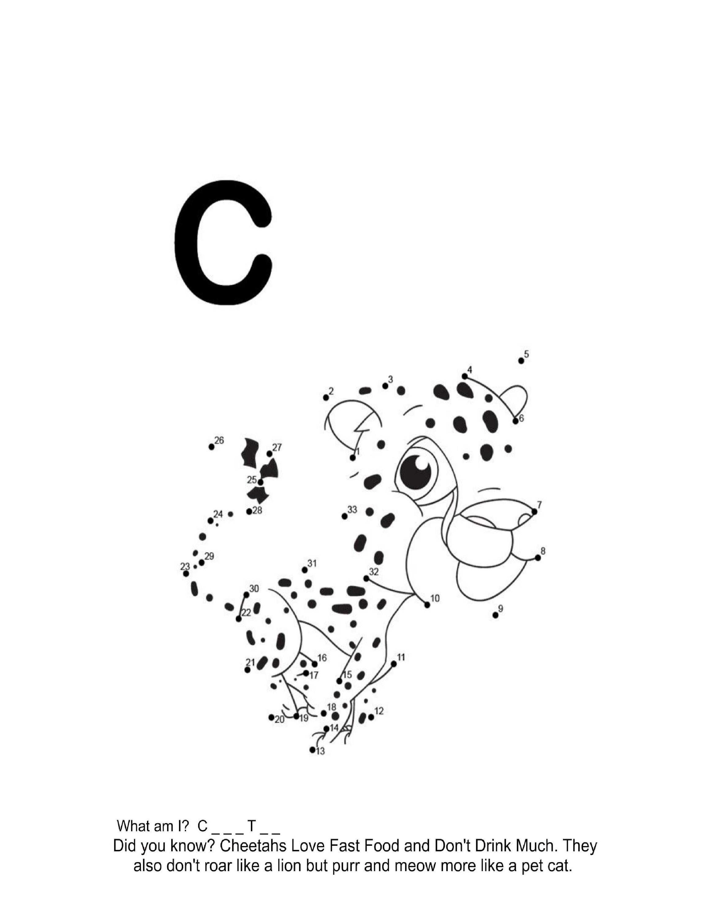 Jungle Animals Dot to Dot Coloring Book: Fun Facts (PDF) - Etsy