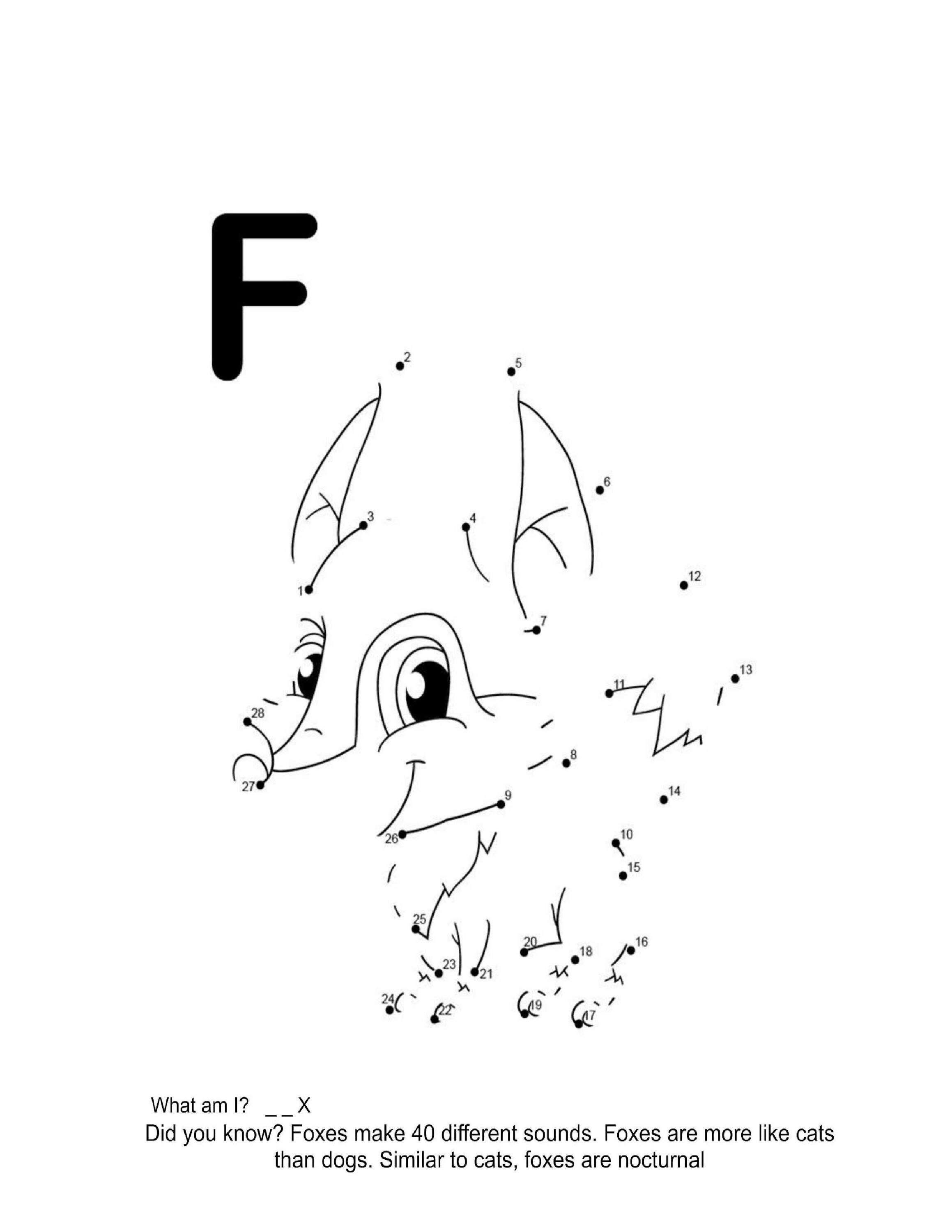 Jungle Animals Dot to Dot Coloring Book: Fun Facts (PDF) - Etsy