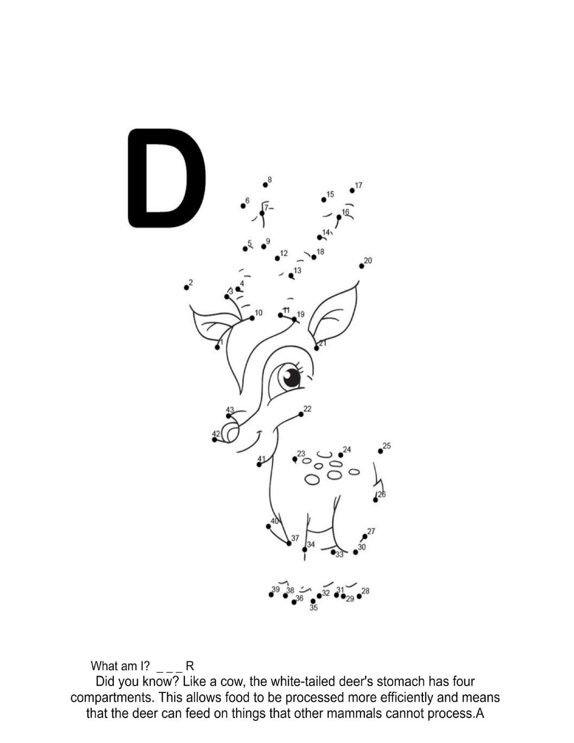 Jungle Animals Dot to Dot Coloring Book: Fun Facts (PDF) - Etsy
