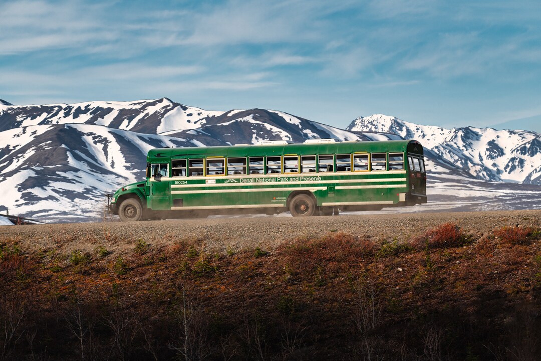 Denali National Park Bus Photograph, Tour, Preserve, Action Shot, Green ...