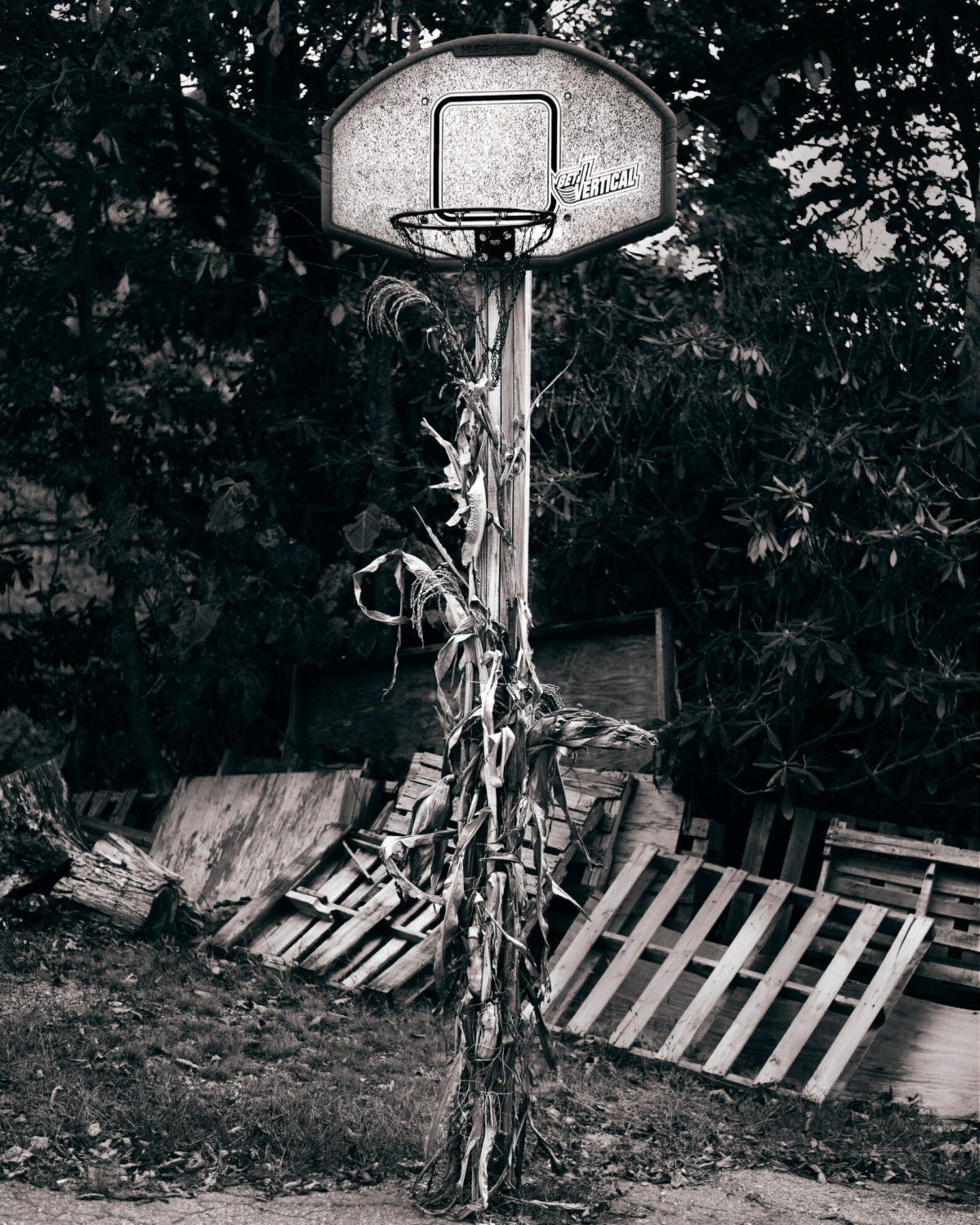 Get Vertical Basketball Photograph, Hoop, Rural, Country, Abandoned ...