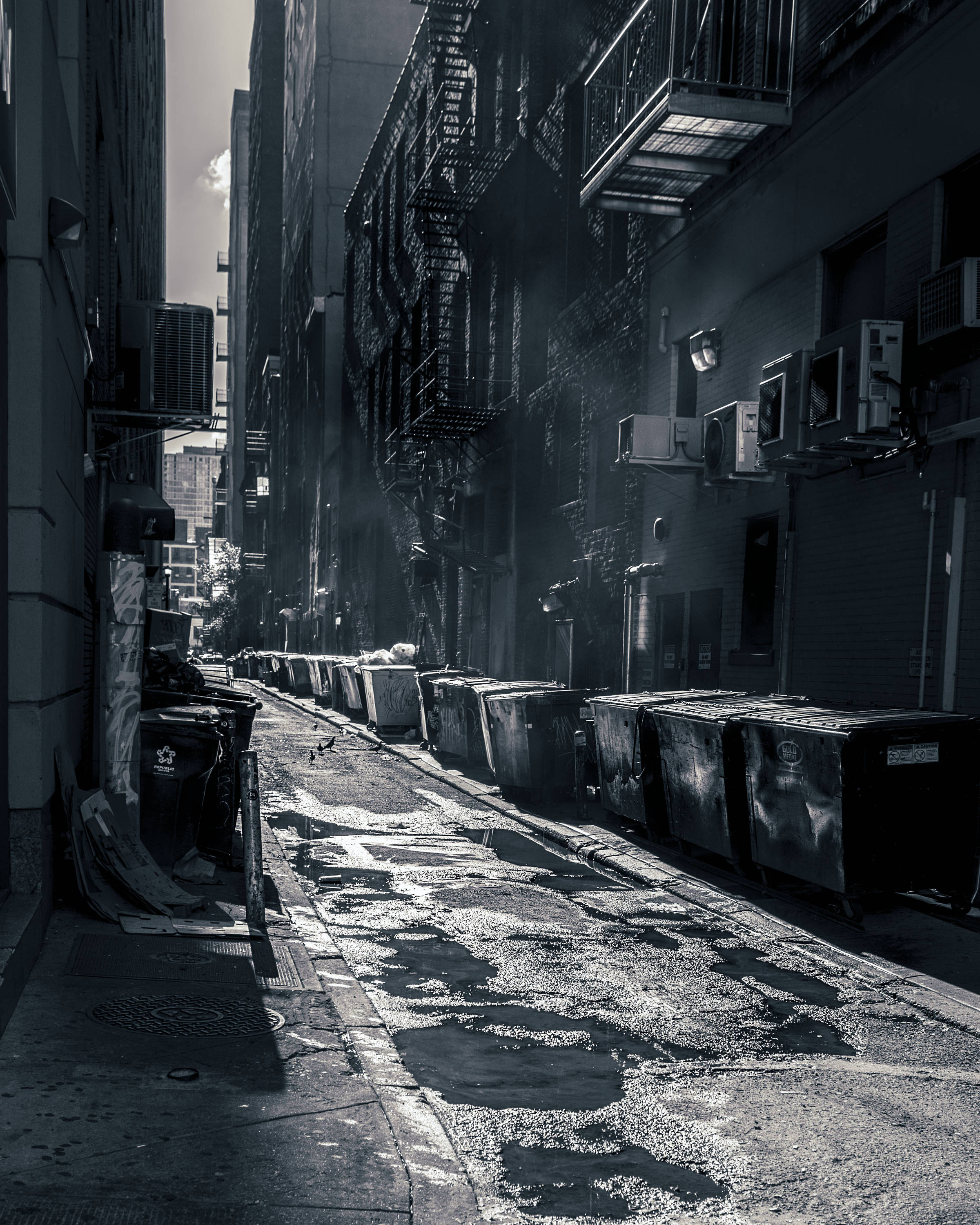 Alley Way Photograph, Urban, Sunlight, Downtown, City, Reflective, Back ...