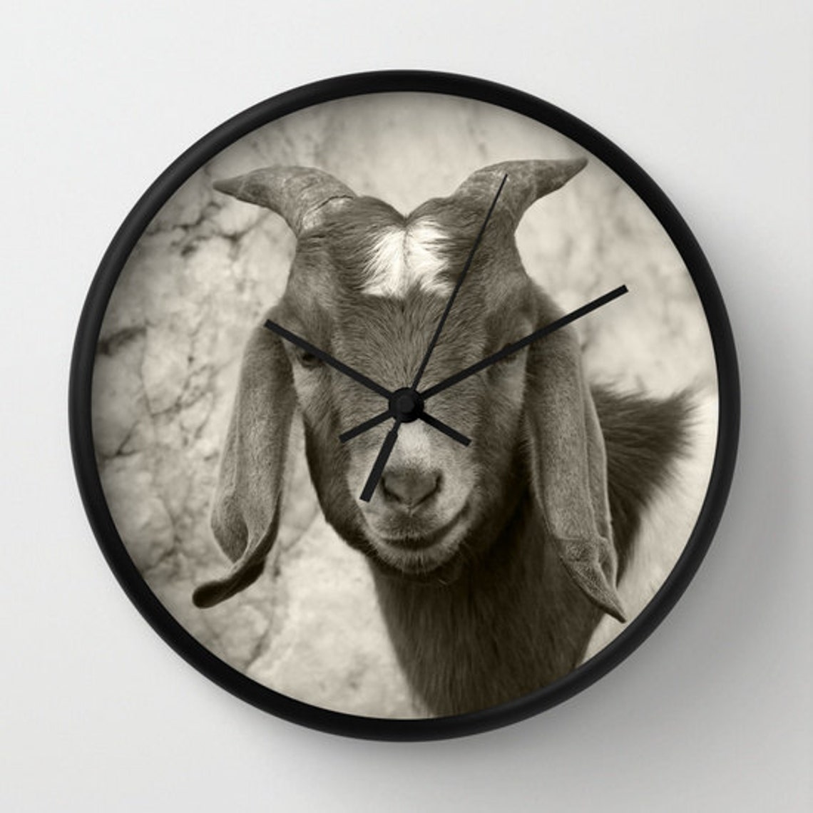 Smiling Goat, Photo Wall Clock, White Grey Goat, Modern Wall Clock ...