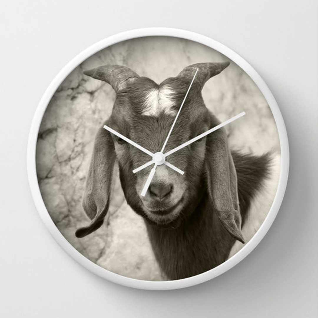 Smiling Goat, Photo Wall Clock, White Grey Goat, Modern Wall Clock ...