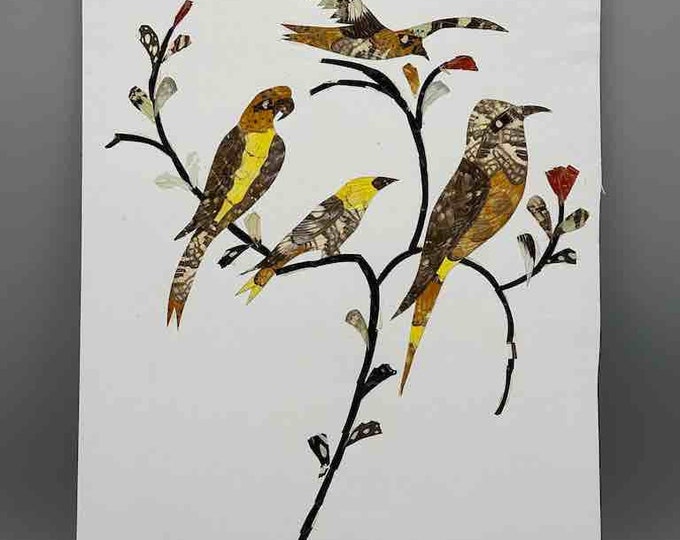 Multiple Tropical Birds Design Real Butterfly Wing Frameable Art ...