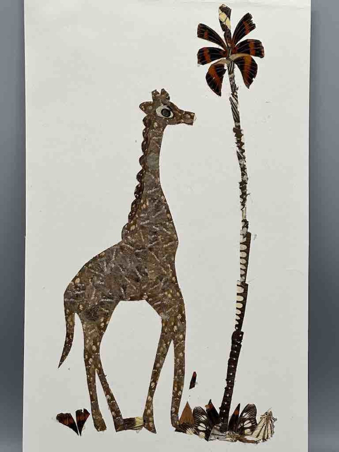 Giraffe Design Real Butterfly Wing Frameable Art - Central African ...
