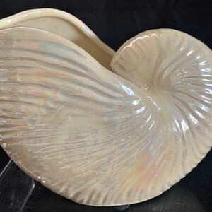 Vintage Andrea by Sadek Ceramic Blue Coastal Conch Shell Plate-white ...