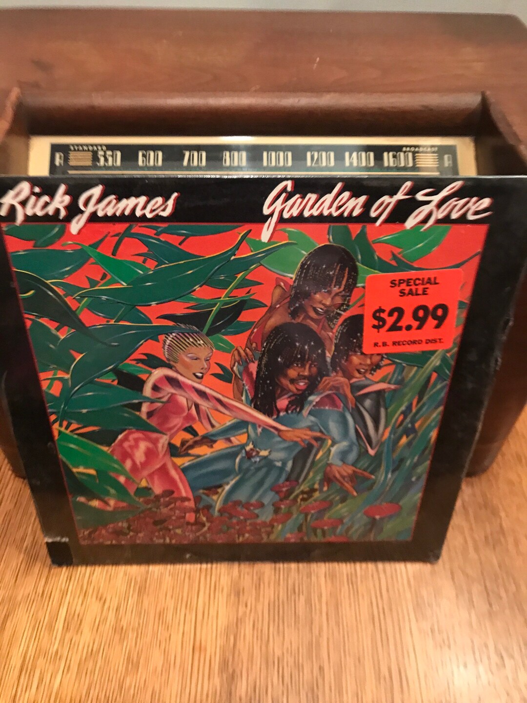 Rick James Vinyl Record Album "garden of Love", Sealed - Etsy