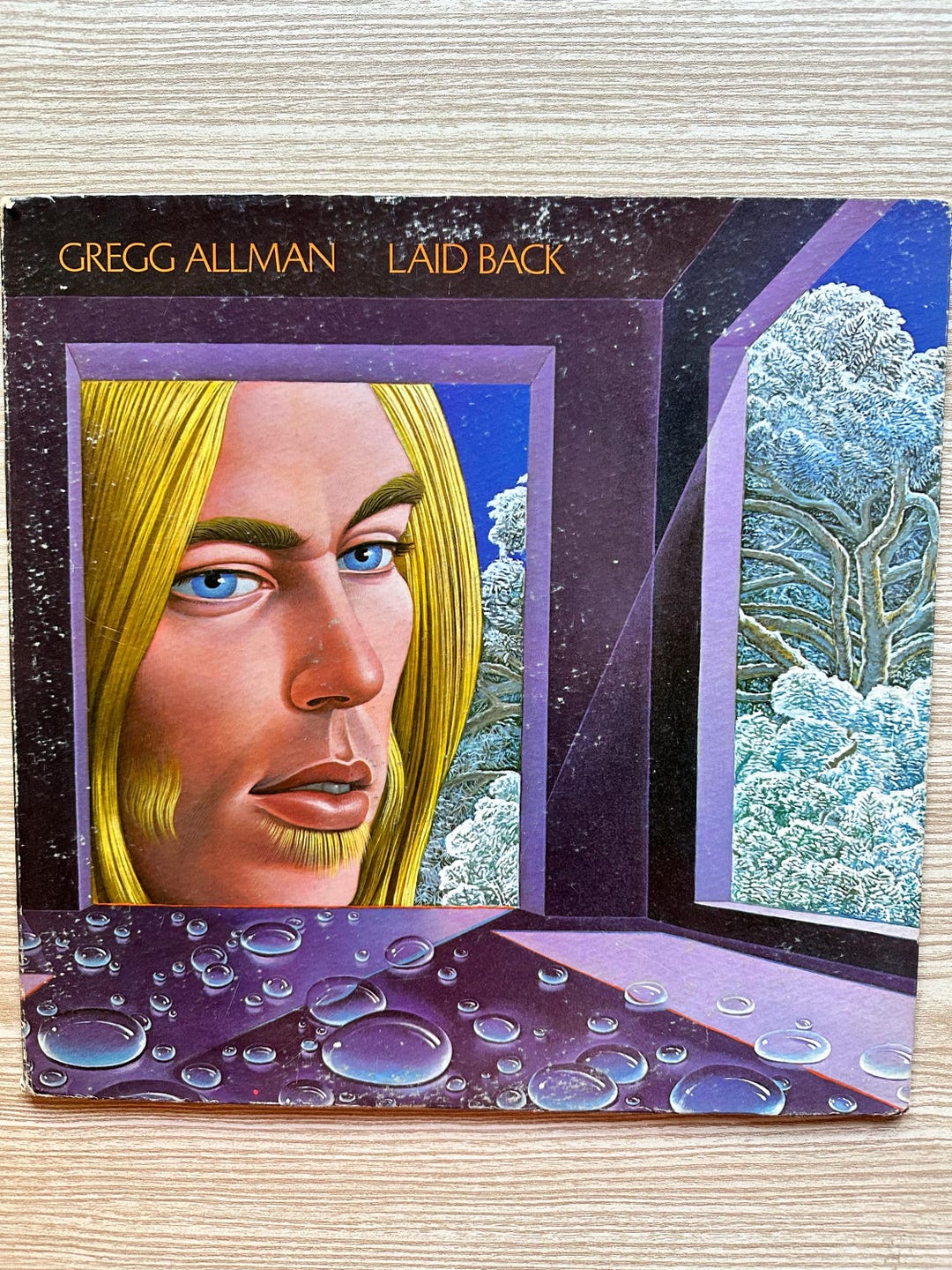 Gregg Allman Vintage Vinyl Record Album "laid Back" - Etsy