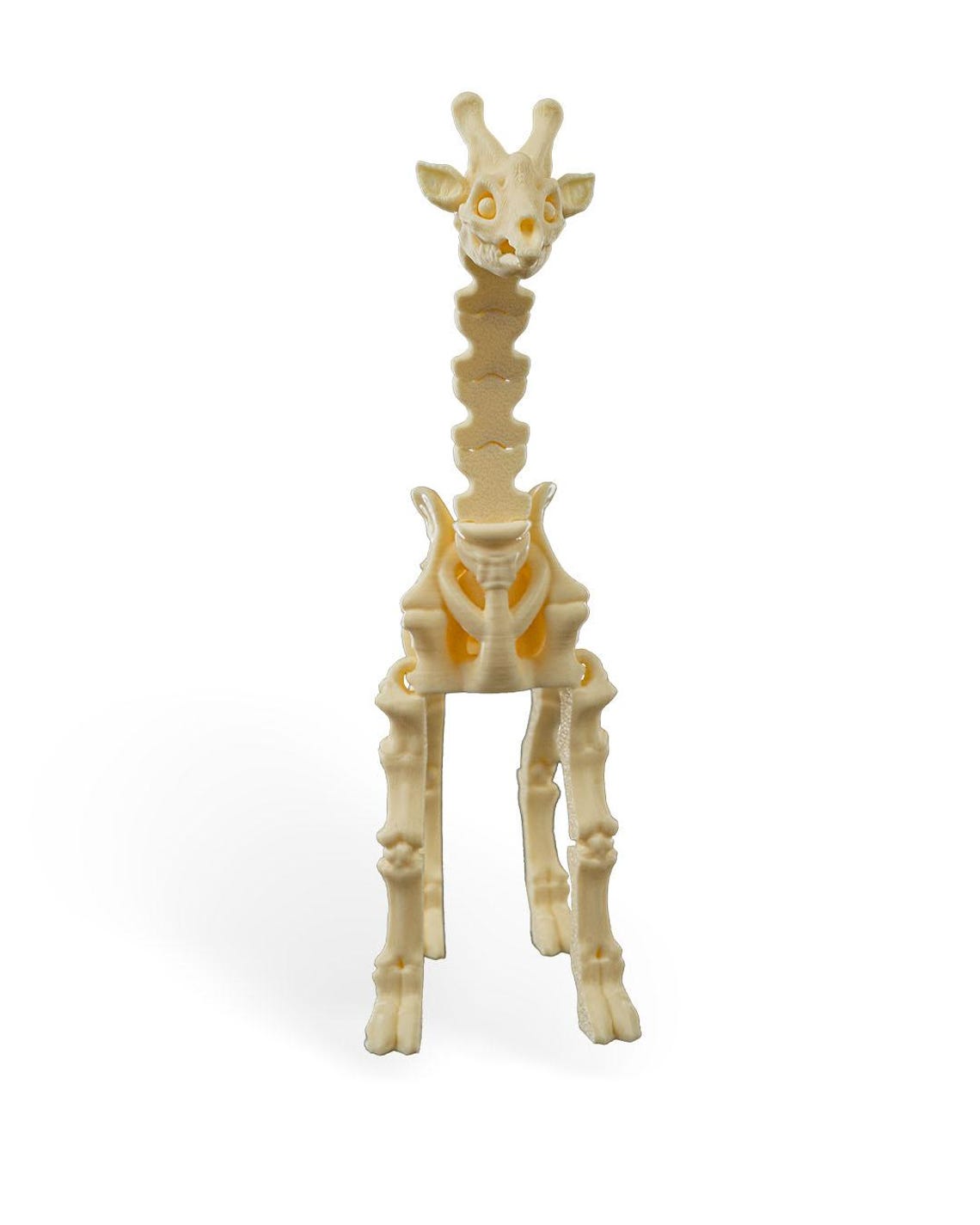 Giraffe Skeleton Safari Articulating Toy 3D Printed Fun Moveable Animal ...