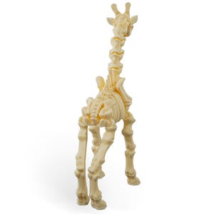 Giraffe Skeleton Safari Articulating Toy 3D Printed Fun Moveable Animal ...