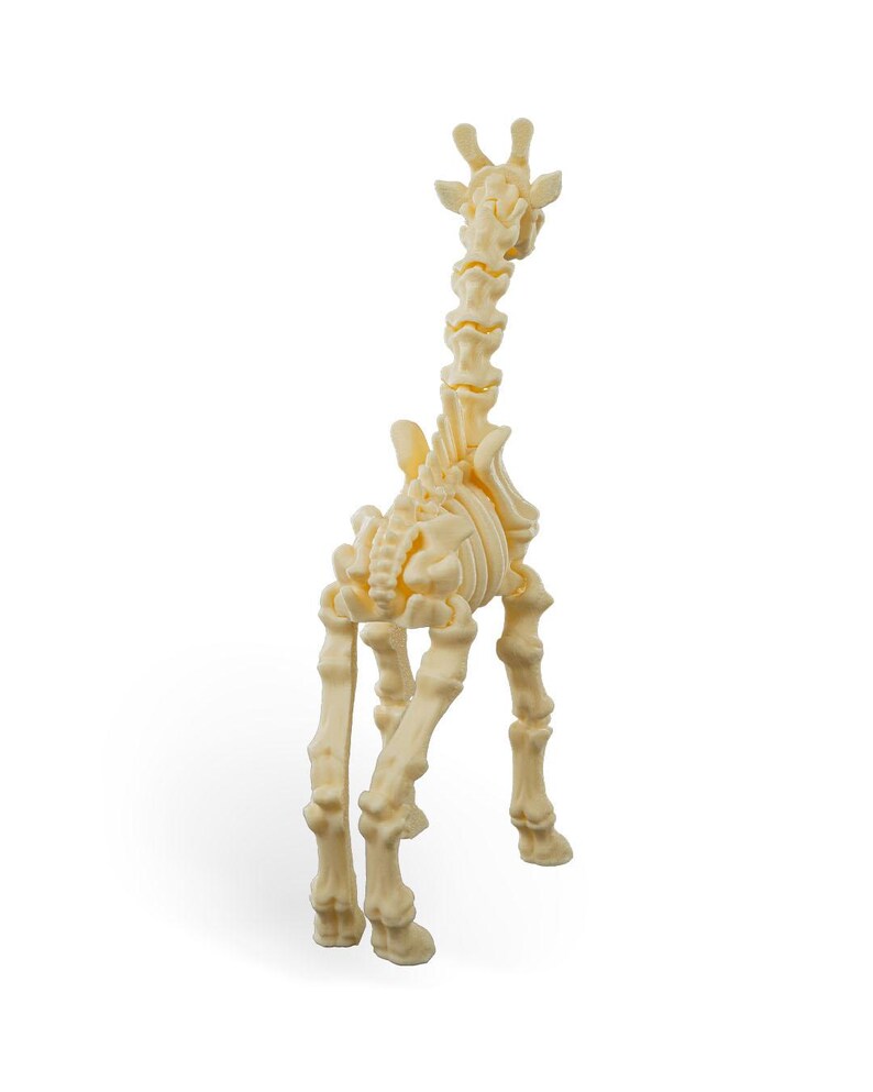 Giraffe Skeleton Safari Articulating Toy 3D Printed Fun Moveable Animal ...