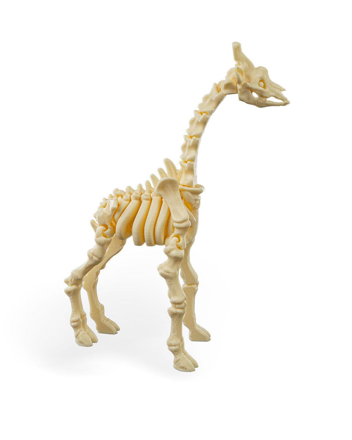 Giraffe Skeleton Safari Articulating Toy 3D Printed Fun Moveable Animal ...
