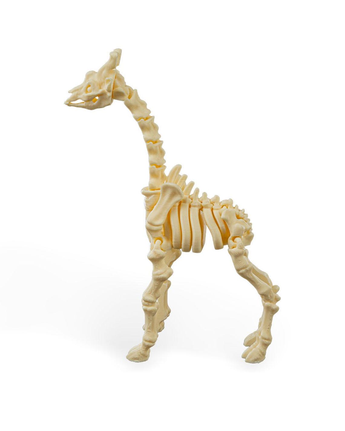 Giraffe Skeleton Safari Articulating Toy 3D Printed Fun Moveable Animal ...