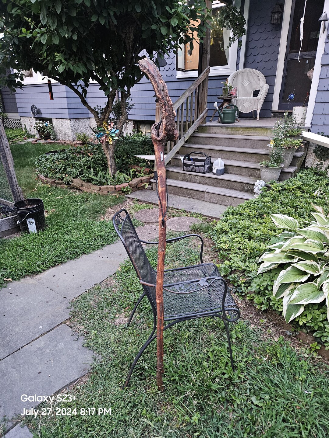 Super Rare and Unique Hardwood Maple Hiking Staff. Unlike Any Size ...