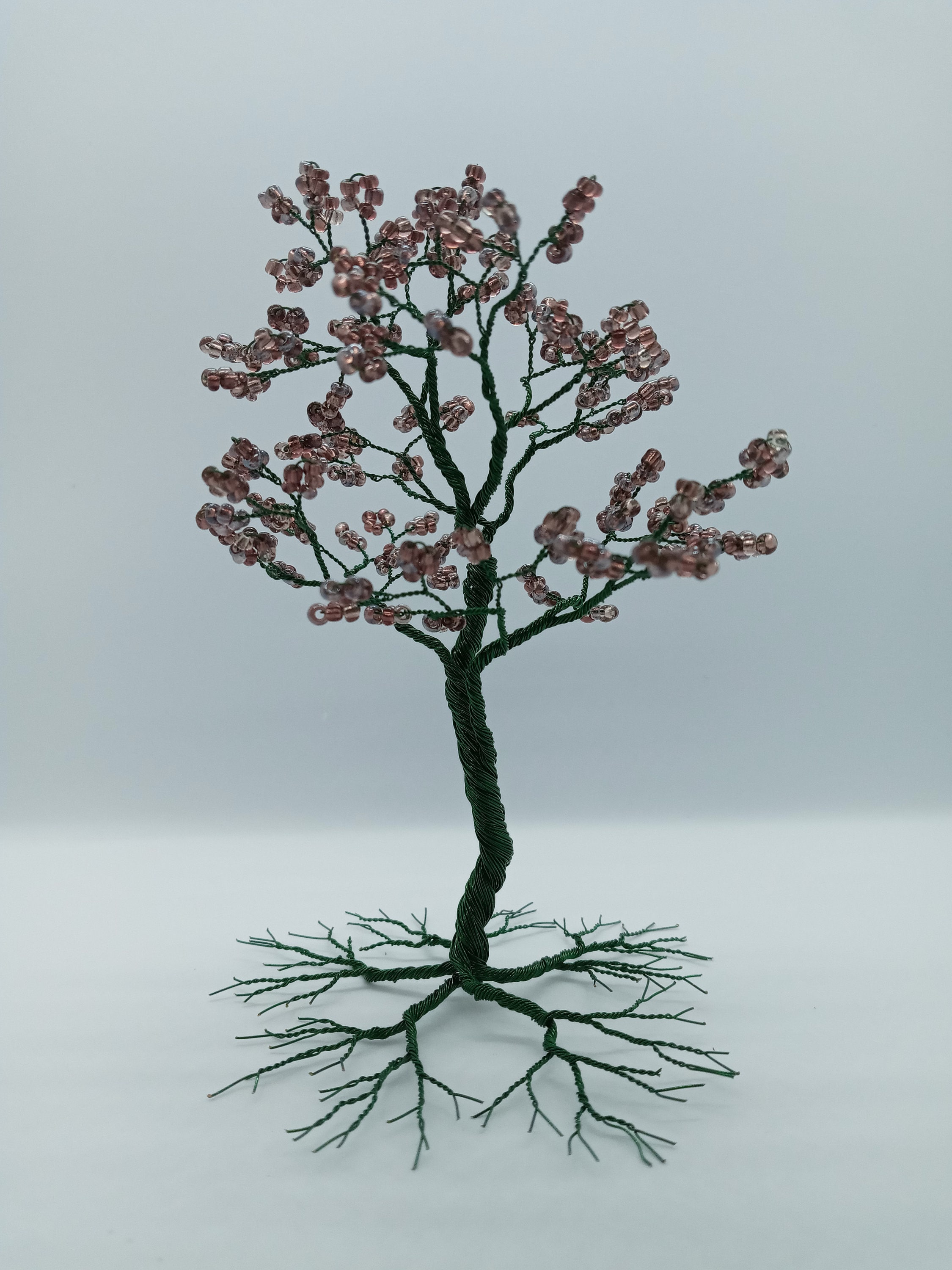 T1004 - Grape Japanese Maple Tree - Etsy