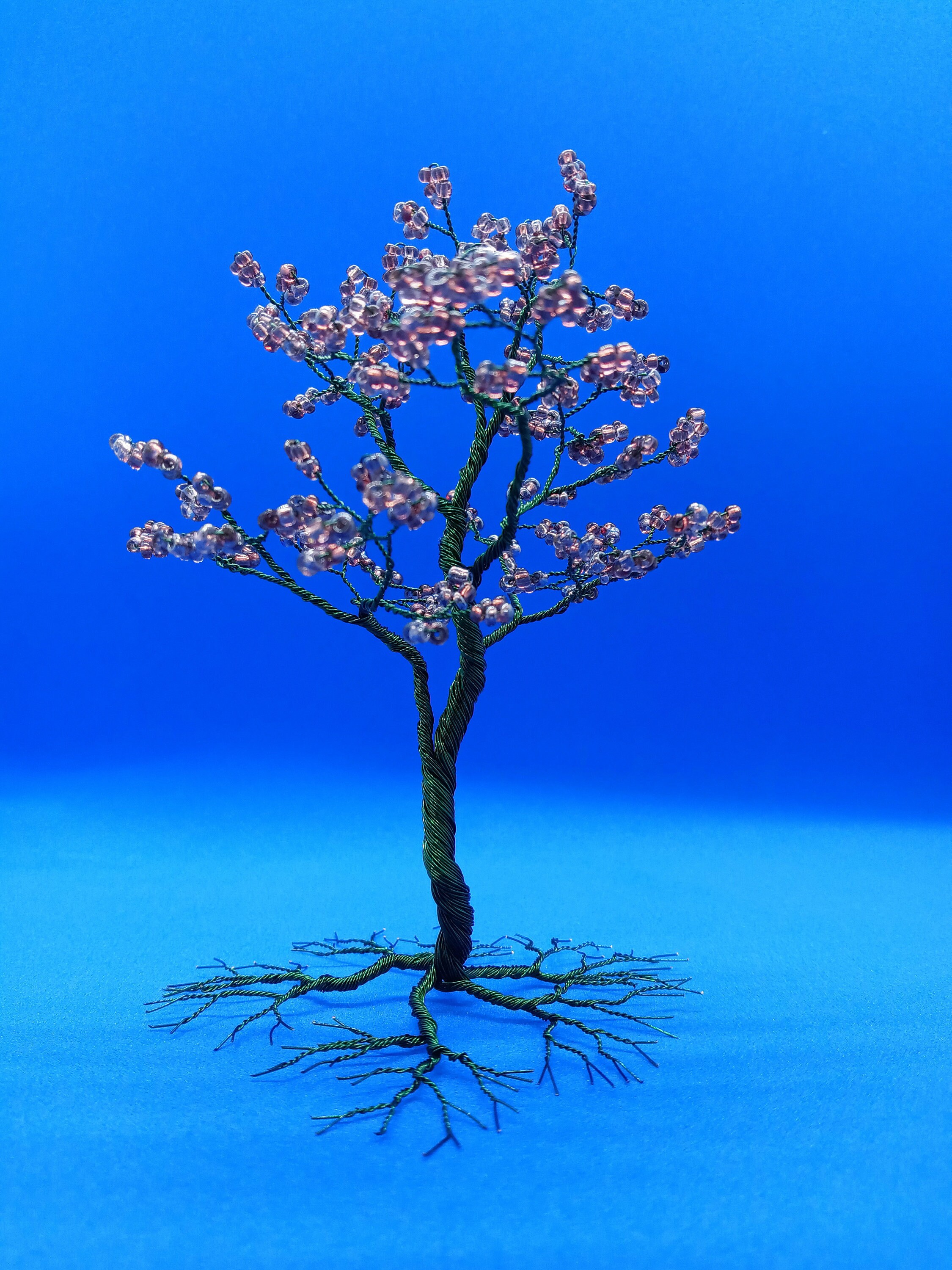 T1004 - Grape Japanese Maple Tree - Etsy