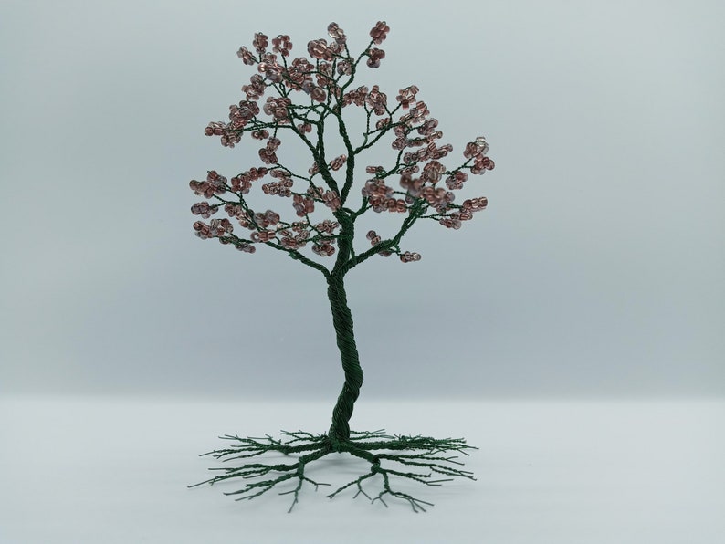 T1004 - Grape Japanese Maple Tree - Etsy