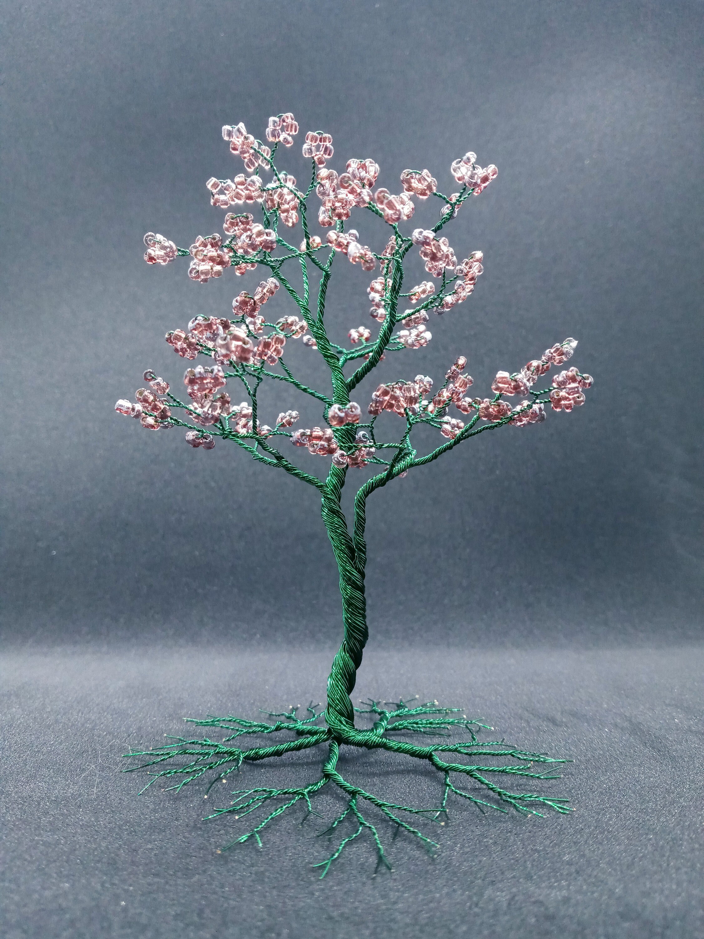 T1004 - Grape Japanese Maple Tree - Etsy