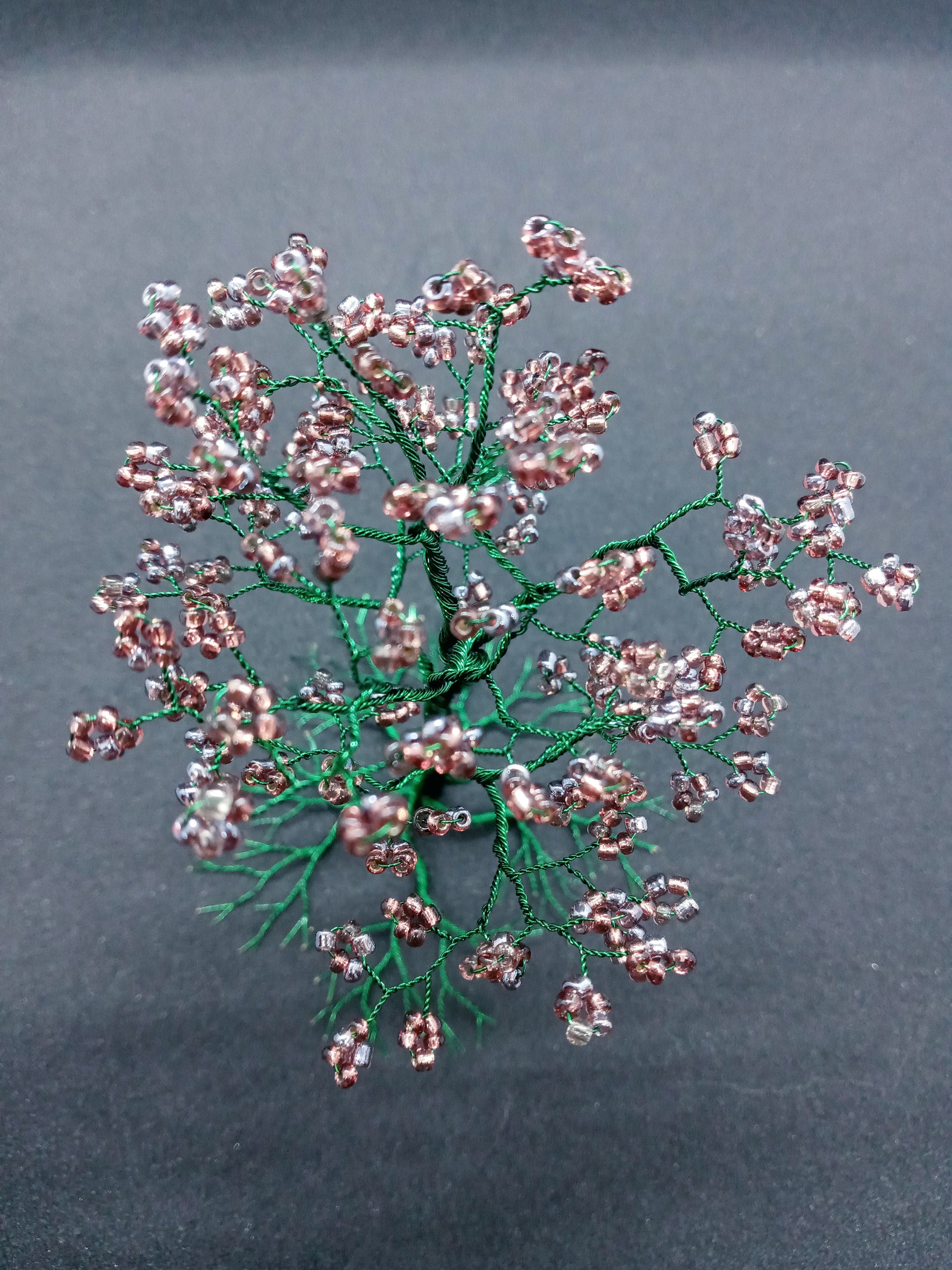 T1004 - Grape Japanese Maple Tree - Etsy