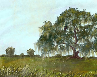 Spanish Moss Art - Etsy